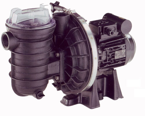 Sta-Rite 5P2R Swimming Pool Pump - 1 Phase